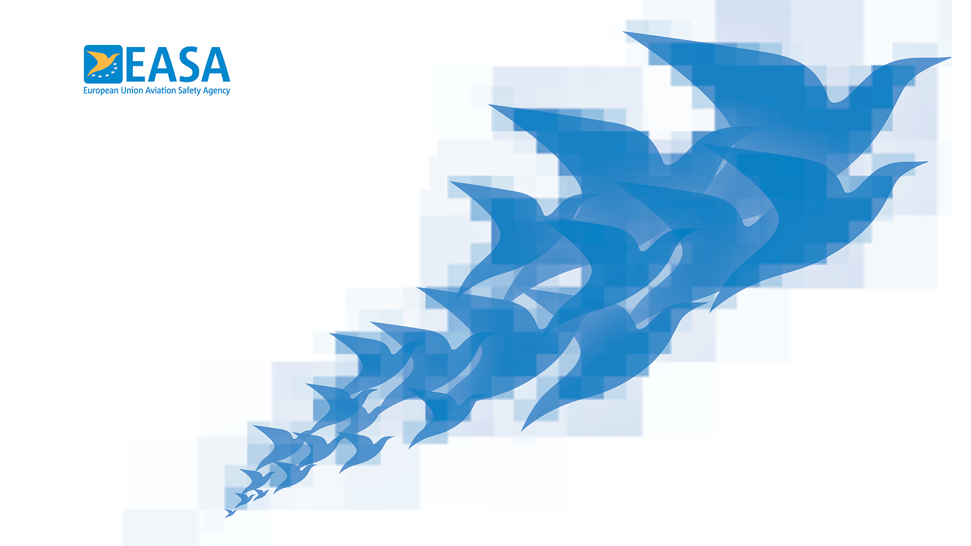 2022 EASA Aircraft Maintenance Workshop - Physical | EASA