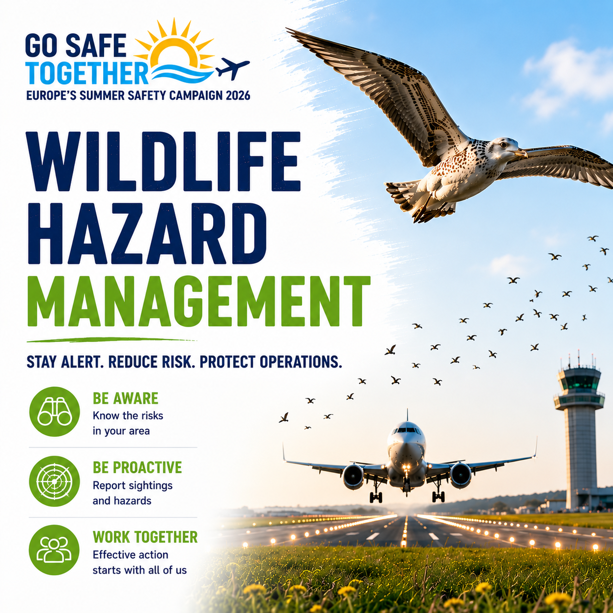 Summer Safety 2026 — Go Safe Together! Wildlife Hazard Management ...